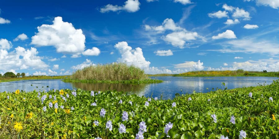 Best Springs, Rivers & Lakes Near Gainesville